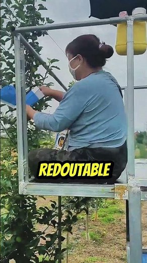 A mobile platform that revolutionizes orchard harvesting