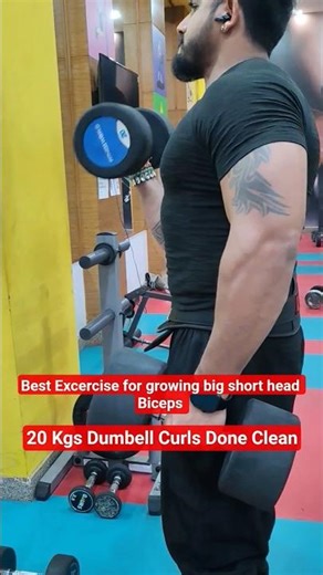 The Ultimate Bicep Home Workout!