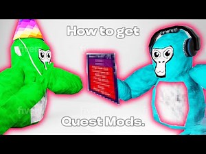 How to get Gorilla tag metadata on standalone quest,NO PC.