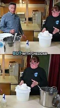 Homemade Cheese: Easy Cheese Making Tips & Secrets