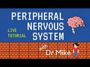 Live Tutorial - Peripheral Nervous System