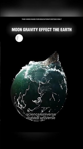 This is how tides work #science #sciencefacts