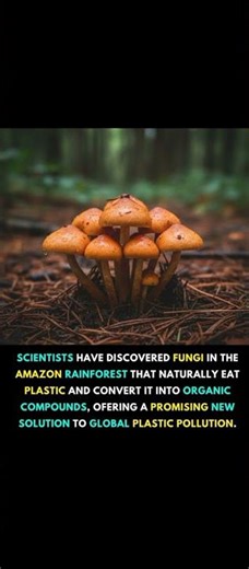 #Solution to global plastic pollutiom