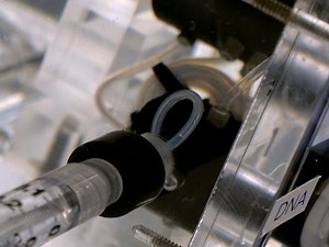 Steady-state, Pre-steady-state, and Single-turnover Kinetic Measurement for DNA Glycosylase Activity