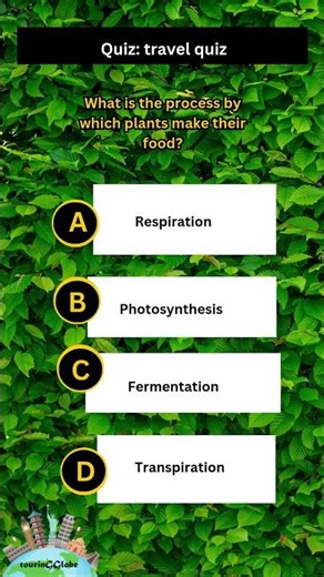 CAN YOU PASS THE MOST INTERESTING Science Questions?