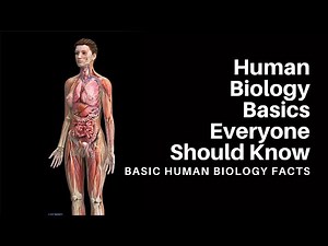 The human body has 12 systems |Basic Human Biology Facts