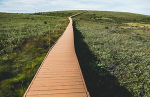 It was a long time coming. A quarter of a century, to be exact. But in 2017, to commemorate Canada’s 150th year, 432 existing trails in 10 provinces and three territories were officially connected to create The Great Trail, a 15,000-mile (24,000-km) urban, rural, and wilderness route across the world’s second biggest country. Snaking through Canada from coast-to coast-to-coast—Atlantic to Pacific to Arctic—The Great Trail was a bold dream to join diverse cultures and wildly varied landscapes thr