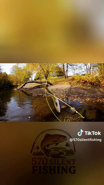 Fall Fly Fishing Fun. #fall #flyfishing #fishing #trending #fyp | fly fishing