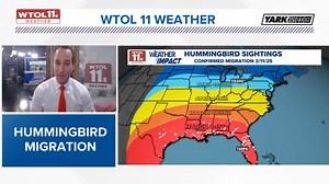 Ruby-throated hummingbird migration underway. Here's what to know