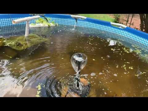 Amazing solar pond filter from Amazon it works !