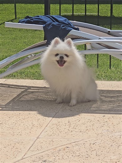 Mi hijita Loli ❤️🐶