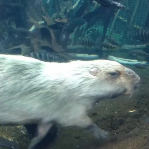 Poorstacy - Don't Look at Me (Prod. Whethan) Music Video