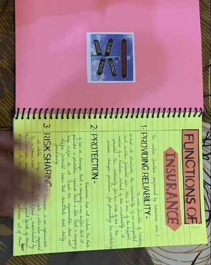 Insurance Project File ~ BST | class 11