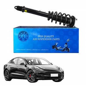 [Hot Item] Model Y Strut Assy Model 3 Strut Assy Model 3 Coil Spring 104436400e Pneumatic Shock