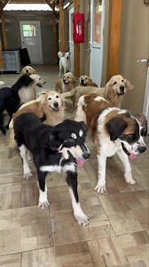 57K views · 798 reactions | Keď sa stretnú osadníci s množkármi, nič...