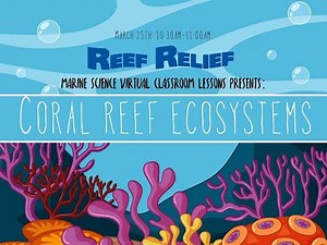 Lesson 2: Coral Reef Ecosystems