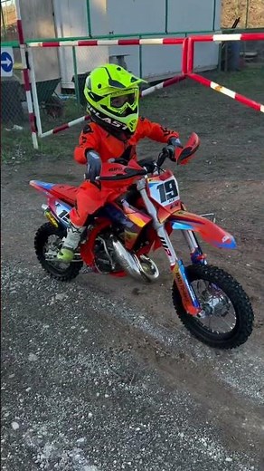 This Mini Bike Has Jungle Power 🐯 | FREE Bike Giveaway You Won’t Believe 😱