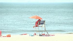 Repeated shark sightings at Rockaway Beach over holiday weekend