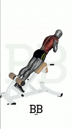 Back Extension (BACK): Strengthen Your Lower Back! 💪