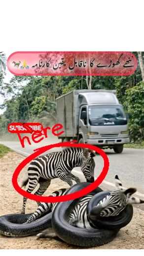 Horse Trapped by a Snake 😱 | Baby Horse Stops Car to Save Him 🐎🐍 #HorseRescue#SnakeAttack