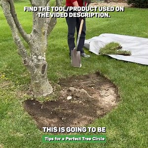 303K views · 1.5K reactions | Want a clean, grass-free look around...