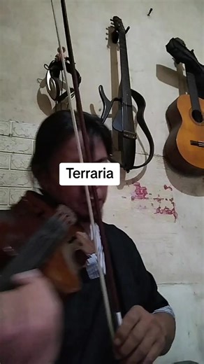#terraria #violin | terraria