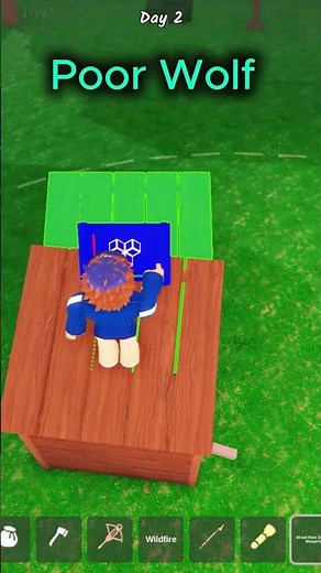 Catching Wolf 99 nights in the forest #99nightsintheforest #99nights #roblox