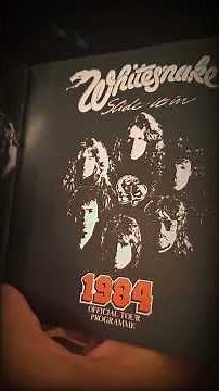 Whitesnake Slide It In US Remix 35th Anniversary