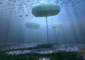 Giant sea monsters generate electricity | Atlas of the Future