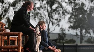 Suspected meteor lights up WA sky