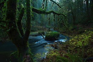 Do more with your photos with this NEW all-in-one photo organizer, editor, raw processor, and effects app. | ON1