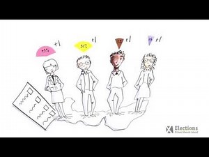 Voting options: First past the post plus leaders