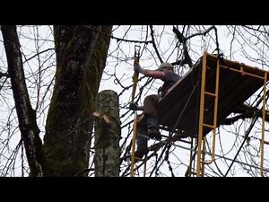 Topping a tree with Scaffolding?!