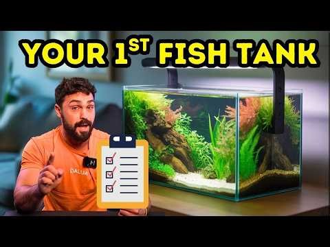 Your first fish tank | Everything you need to know