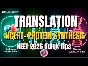 NEET 2026 Protein Synthesis: Translation Animation🧬