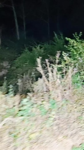 Terrifying Sounds in Horror: What Lurks at the End?