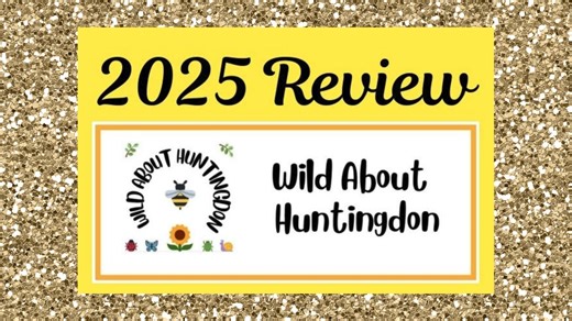2025 has been an absolutely incredible year for Wild About Huntingdon, thanks to all of you! This project continues to go from strength to strength, showing how much we all want to protect the nature on our doorstep. Your support gives me hope for the future and I am truly humbled by your continued encouragement