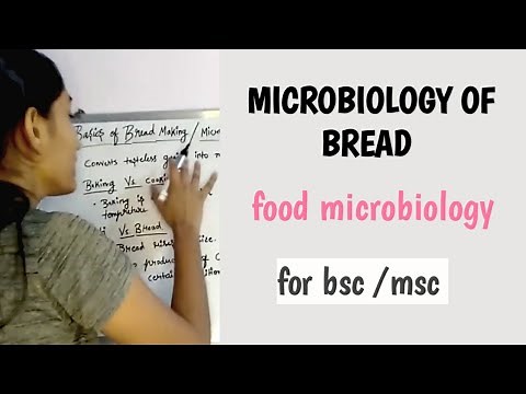 Microbiology of bread | basics of bread making | food microbiology