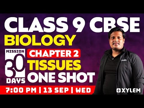 Class 9 CBSE Biology | Chapter 2 - Tissues One Shot | Xylem Class 9 CBSE