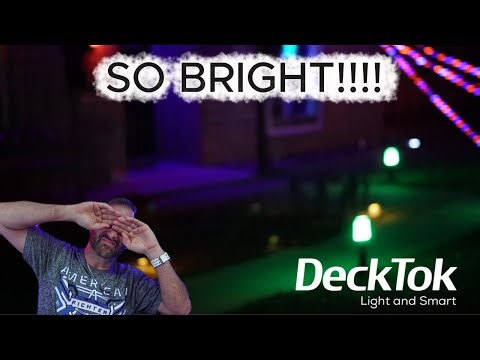 These Are The BRIGHTEST Pathway Lights!