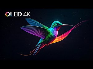 Hummingbird wingbeats in slow motion with sound. Dolby vision 12K 8K 4K HDR VIDEO ULTRA HD 60FPS
