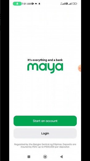 Maya Paymaya that didn't load right work around temporary fix