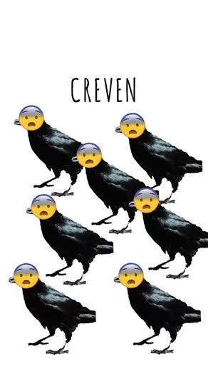 How to count crows! 🤔 #meme #funny #fy