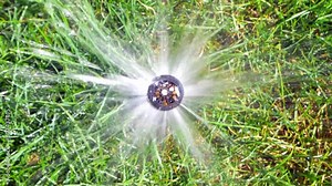 Close Up Circular Water Sprinkler Splashing Pressurized Water on Garden Grass