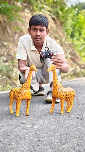 remote control 2 giraffe 🦒 unboxing and review test #toys