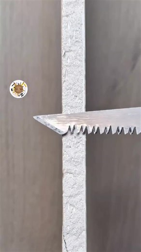 Join the 100k Followers Challenge on TikTok!