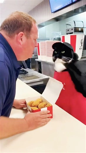 Angry People 🤬😻 Wanted Extra Crispy Chicken! 🍗