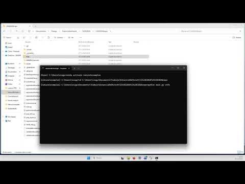 CAiSE 2026 - process variants and natural examples - how to run the approach