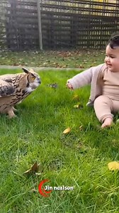 #BabyAndOwl #BallPlay #FieldFun #CuteMoments #PureJoy #BestBond | Jin Nealson