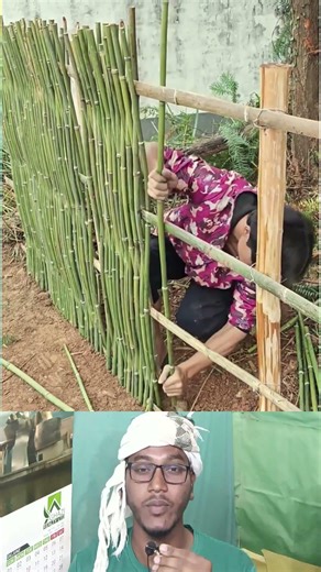 Traditional Boundary Work | পুরনো পদ্ধতিতে বাউন্ডারি দেয়া হচ্ছে 🏡🛠️ #shorts #boundary #farming